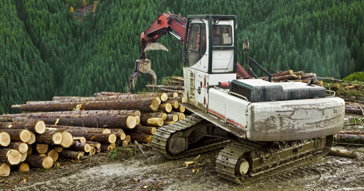 Timber | Industries | Service Cranes | PALFINGER