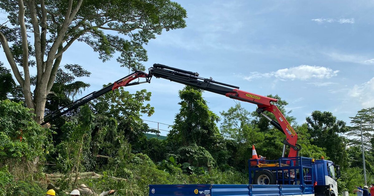 Lorry Crane Solutions for Landscaping Sector